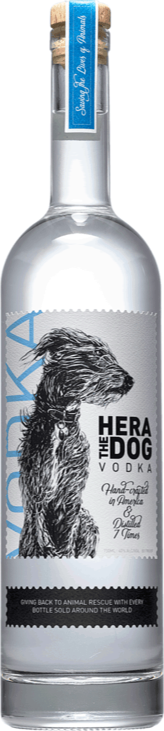 Can You Give Dogs Liquor